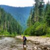 A Small Slice of Fly Fishing Heaven—The North Fork of the CDA River ...