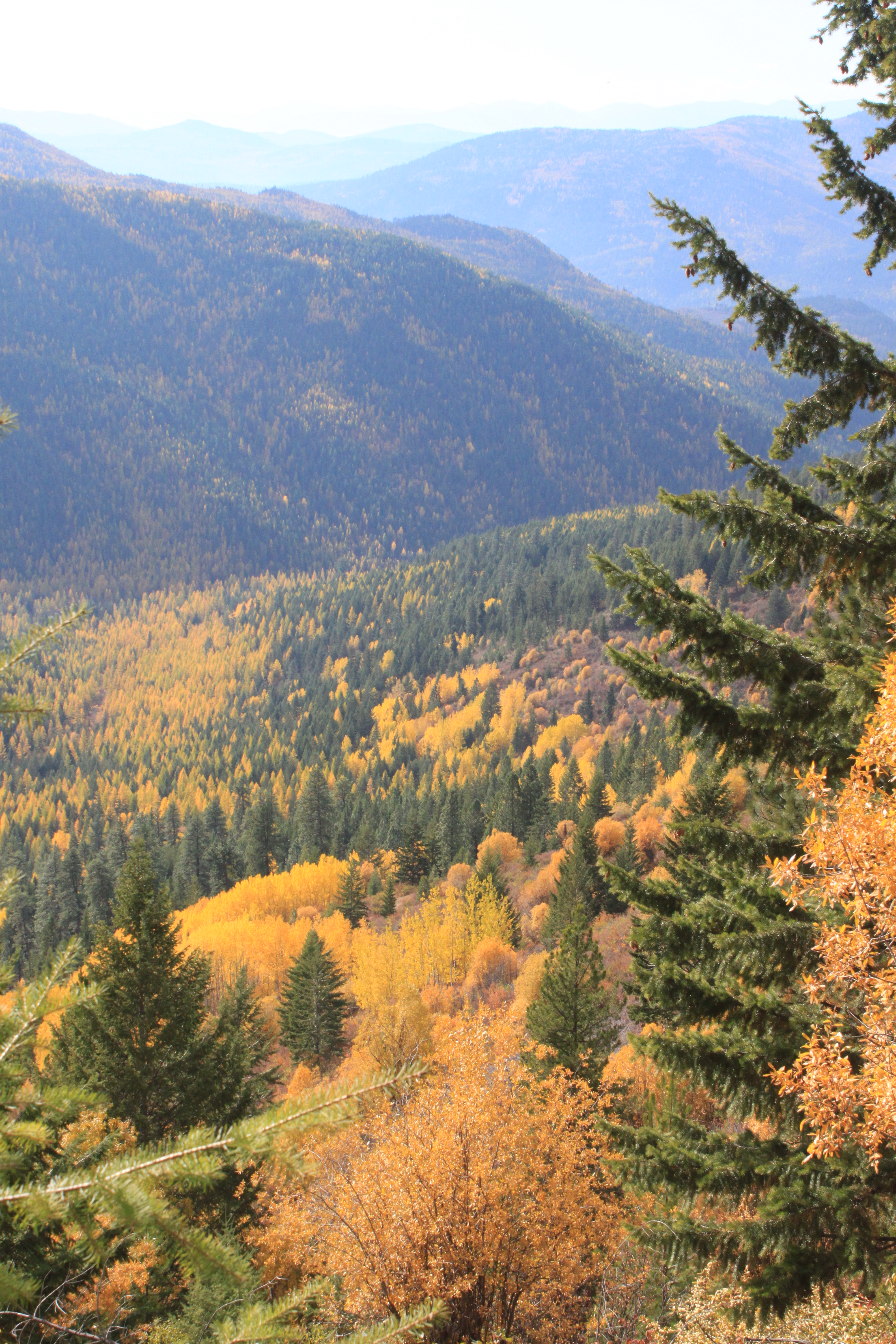 Hike of the Month: North Fork Silver Creek Trail (Abercrombie Mountain ...