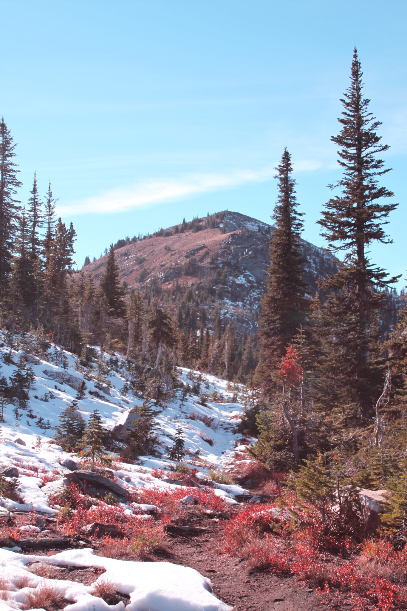 Hike Of The Month Abercrombie Mountain Via Flume Creek Trail Out