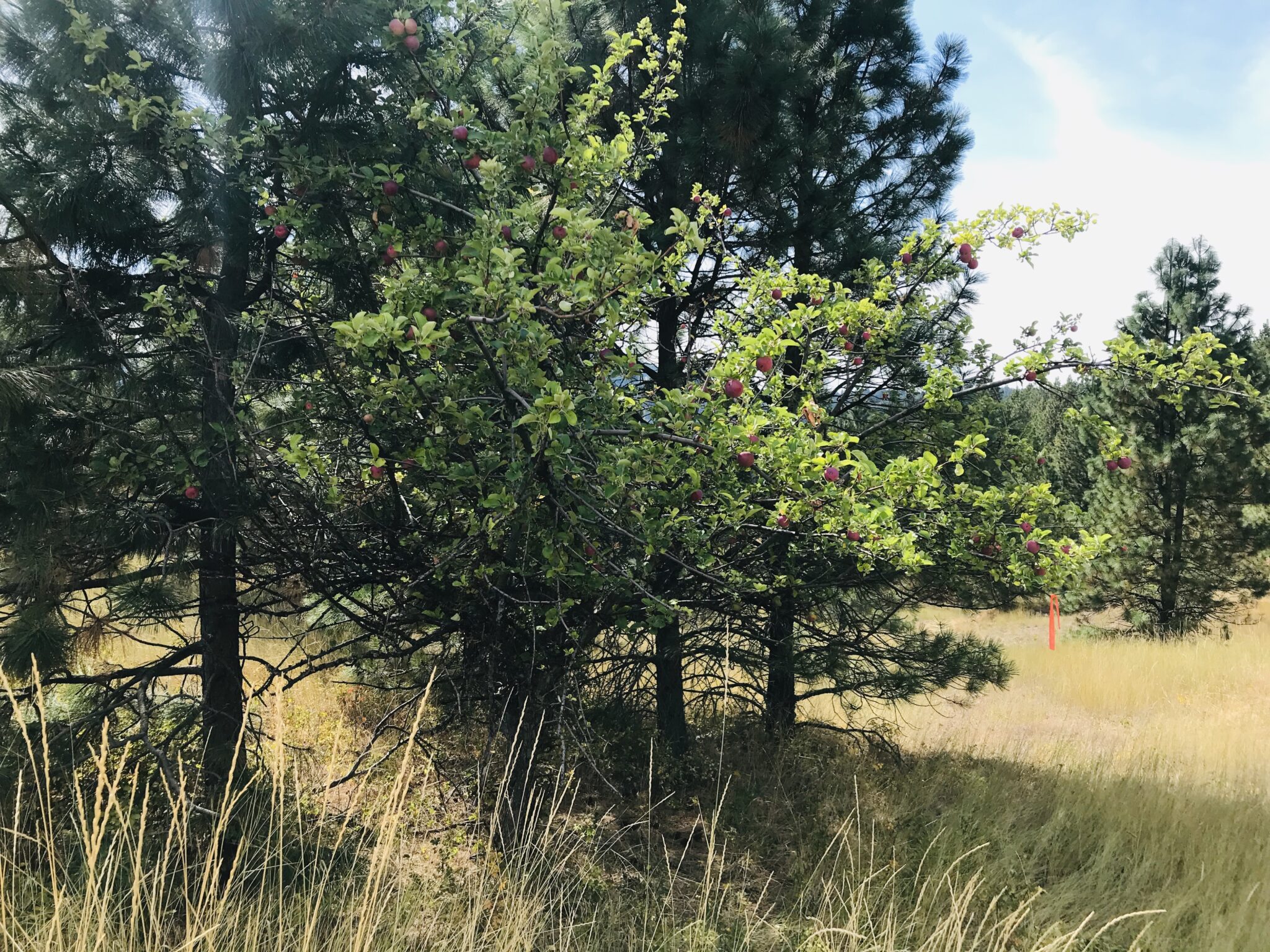 Best Autumn Hikes around Spokane - Out There Outdoors