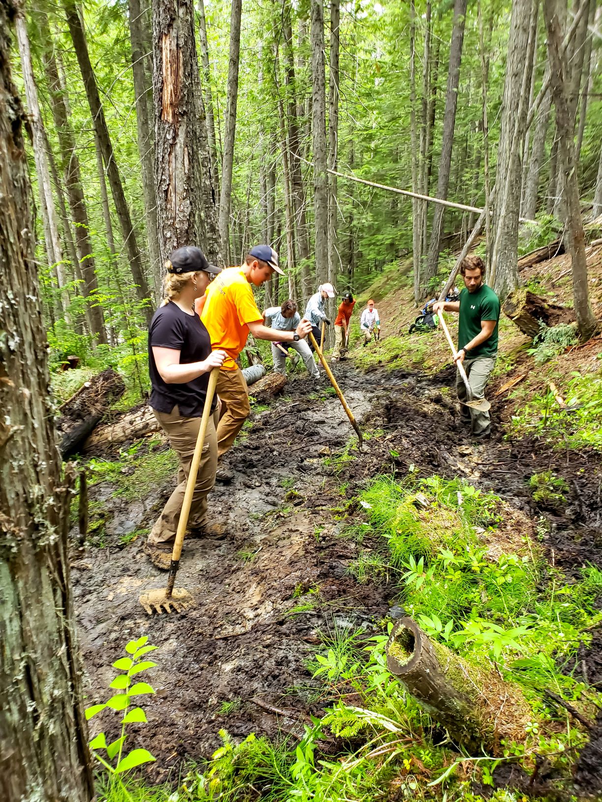 Volunteer with Idaho Trail Association This Summer: Work Projects in ...