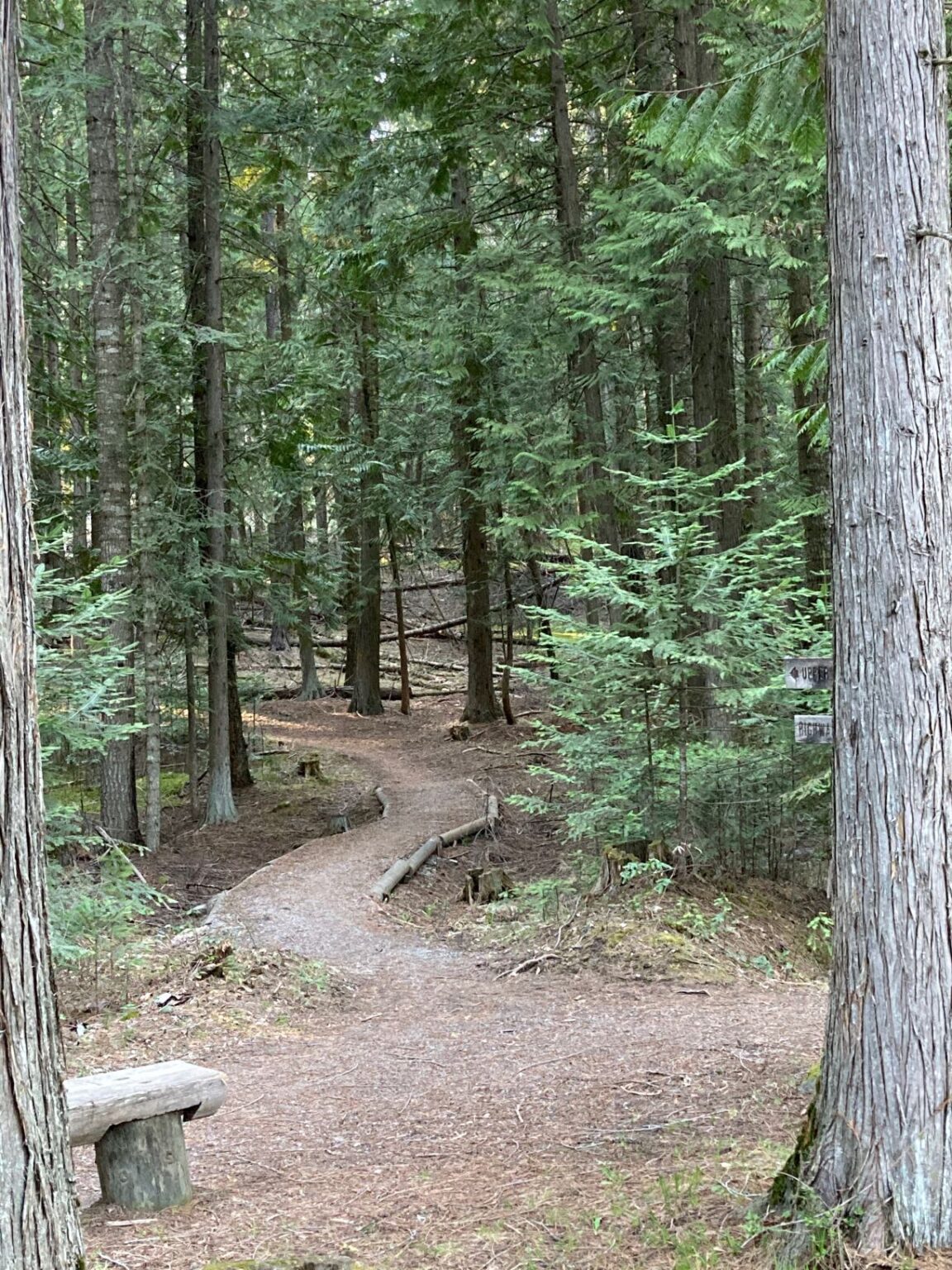 Hike Wolf Trails in Newport, Wash. - Out There Outdoors