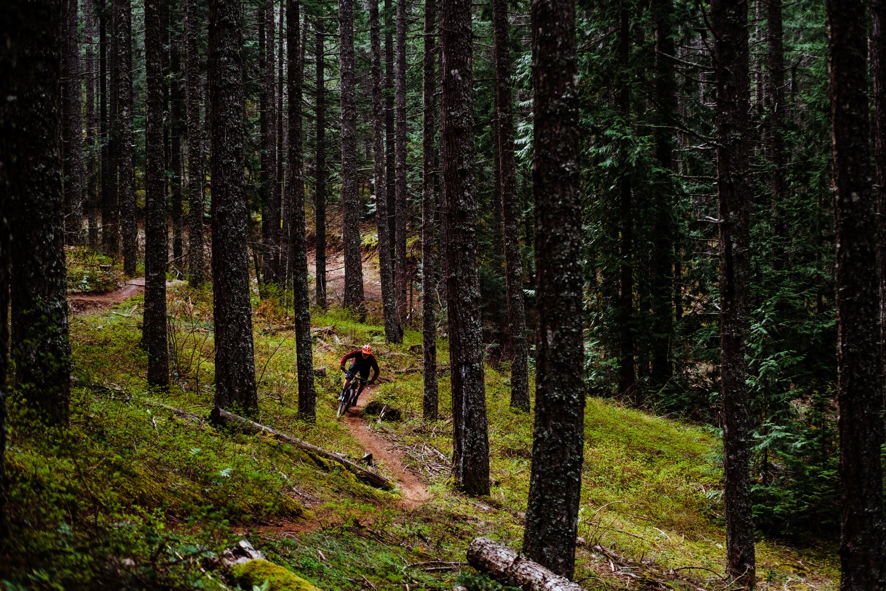 6 Mountain Bike Towns in the Inland NW - Out There Outdoors