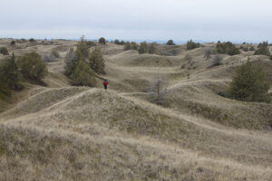 Hike of the Month: Juniper Dunes Wilderness - Out There Outdoors