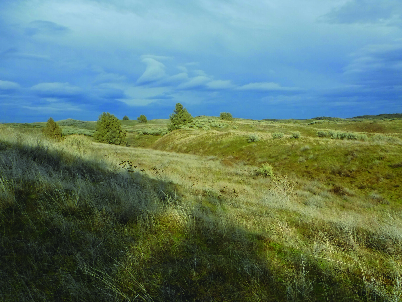 Hike of the Month: Juniper Dunes Wilderness - Out There Outdoors